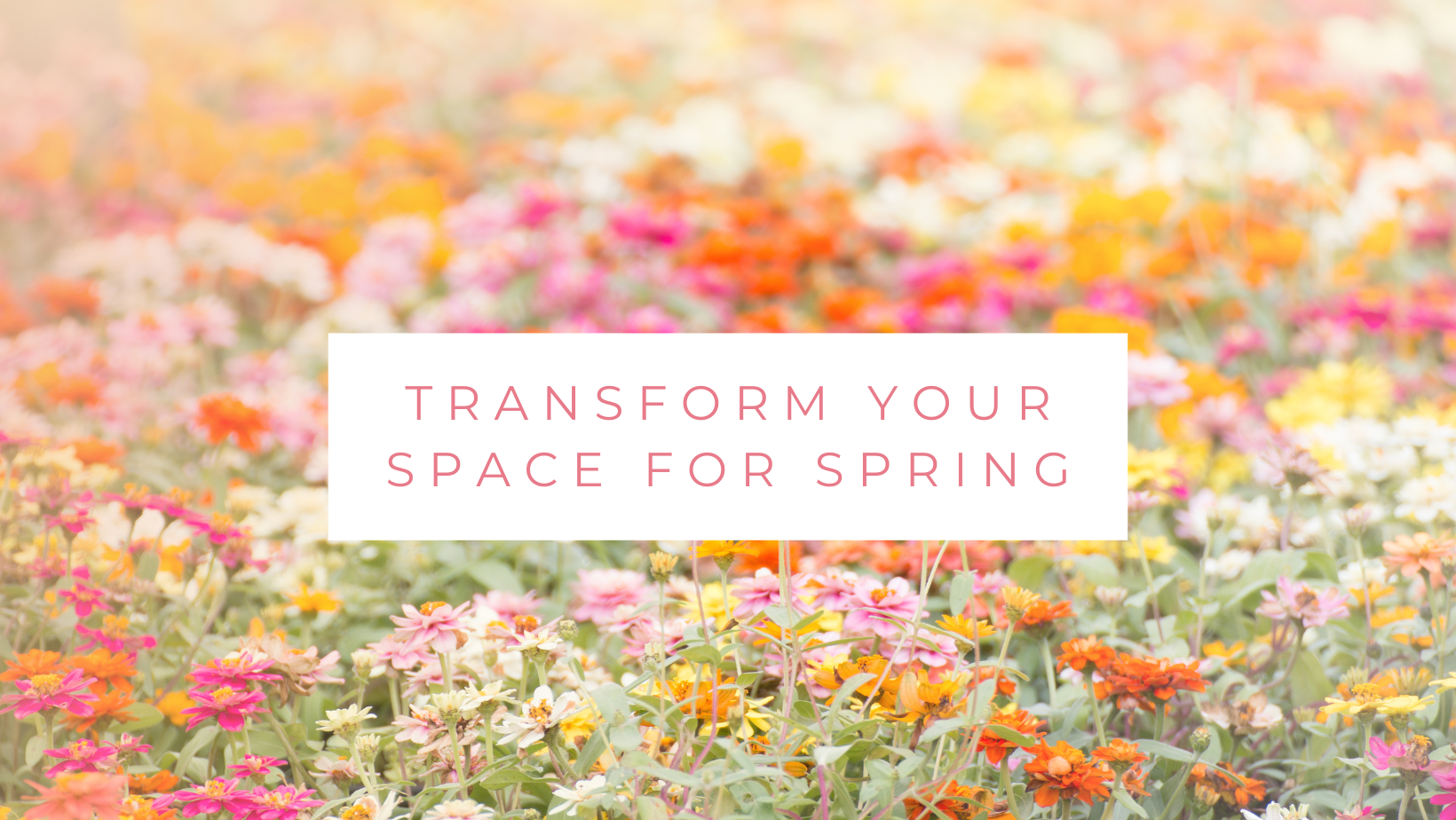 Transforming your space for spring – EmieJames