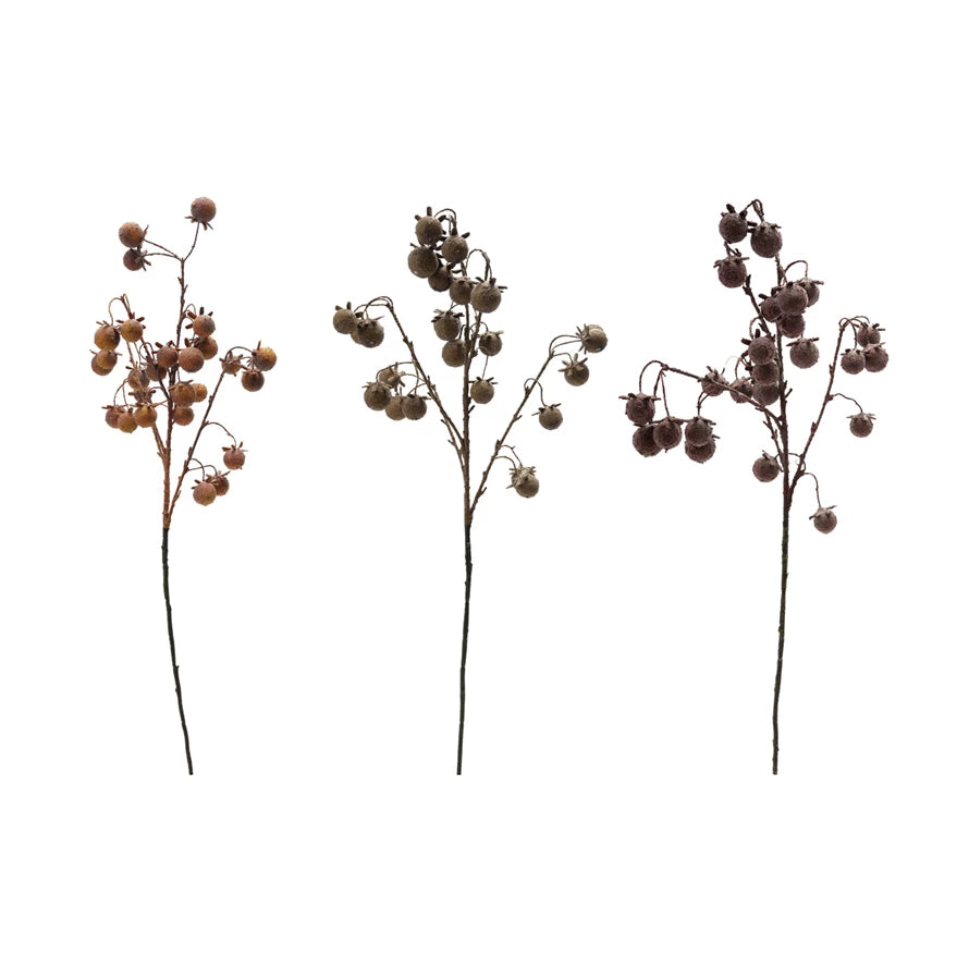 Rose Hips Stem